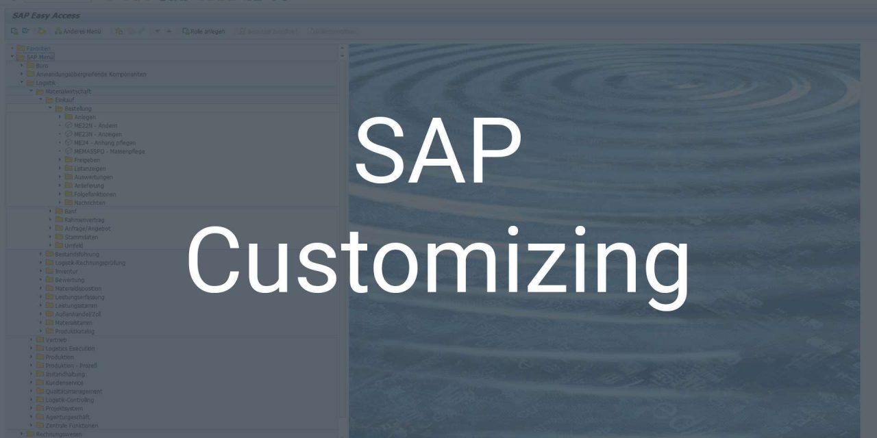 SAP Customizing - SAP individuell auf die Bedürfnisse anpassen